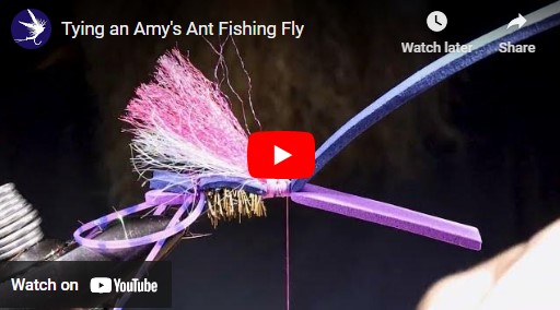 DiscountFlies Online Fly Shop