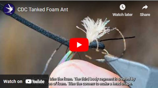 Blog: DiscountFlies Online Fly Shop