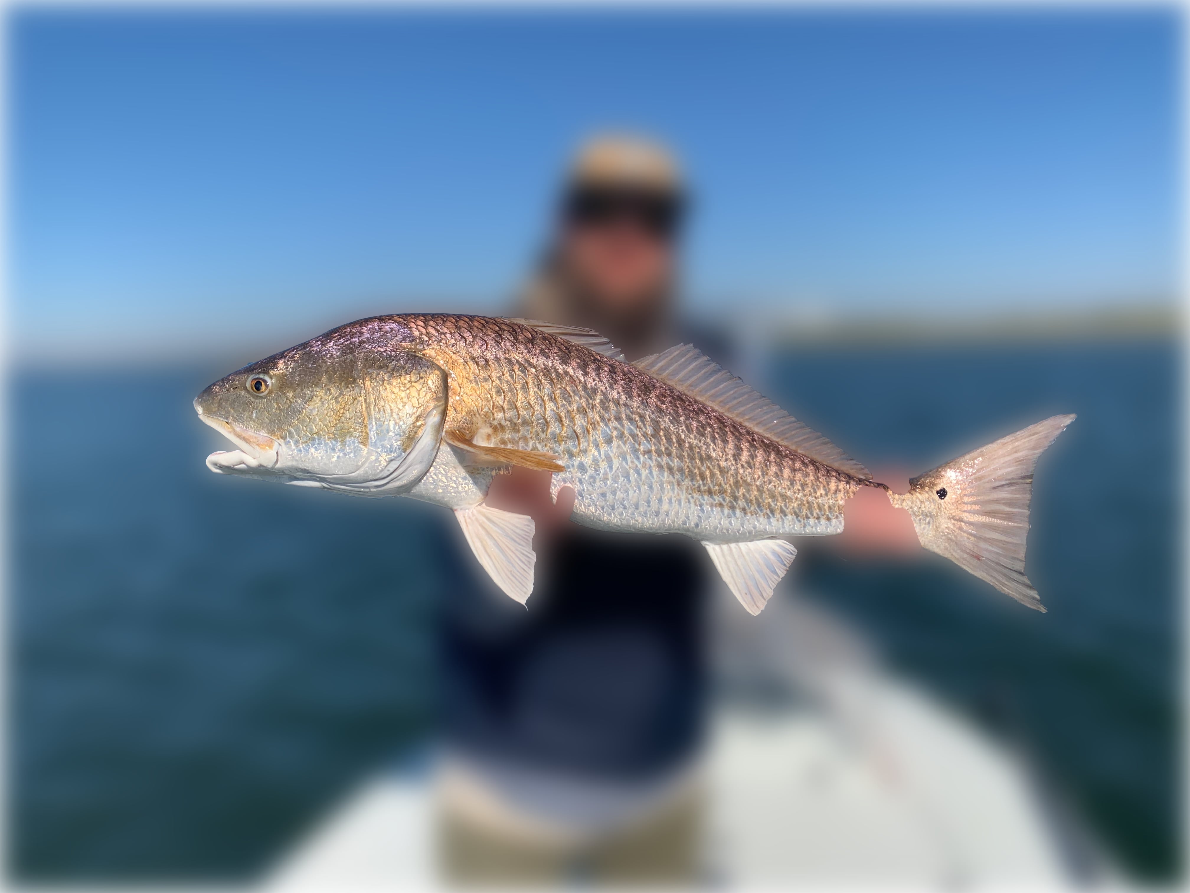 Blog: DiscountFlies Online Fly Shop