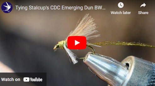 Blog | Buy Quality Fly Fishing Flies For Less | Discount Flies