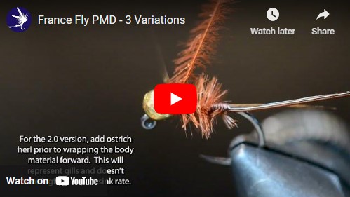 Blog: DiscountFlies Online Fly Shop
