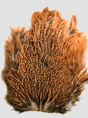 Cascade Crest Speckled Hen Backs