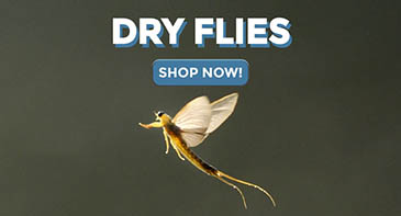 Buy Fly Fishing Flies For Less at DiscountFlies Online Fly Shop
