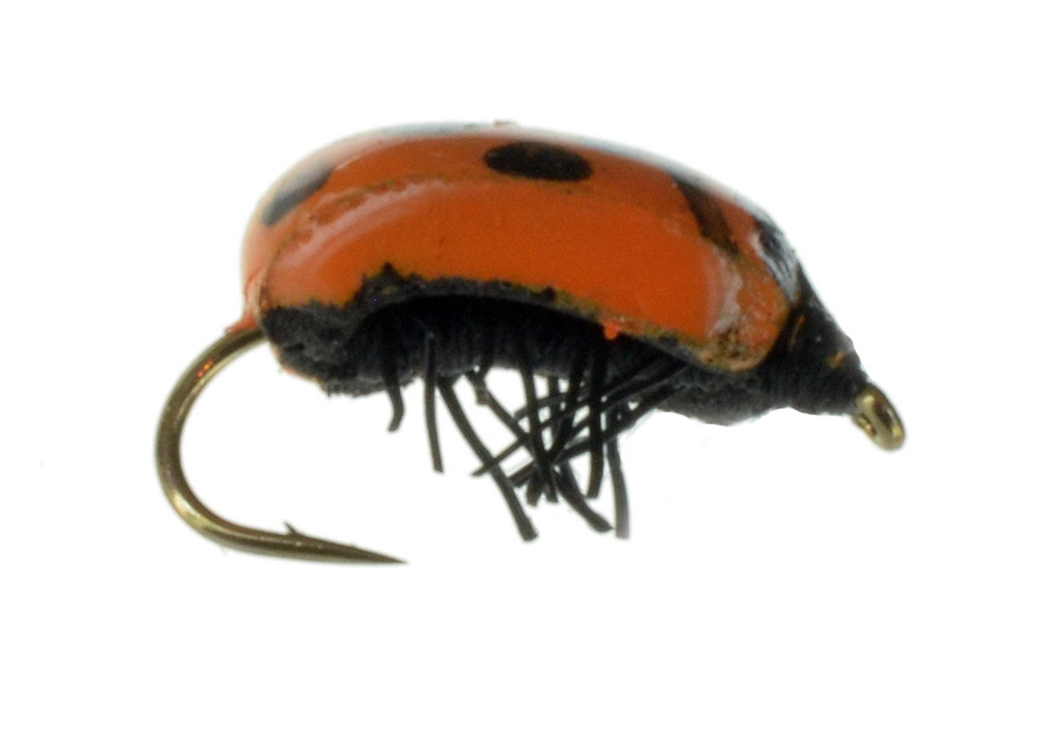 DF Lady Bug