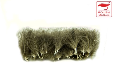 Polish Quills Natural CDC