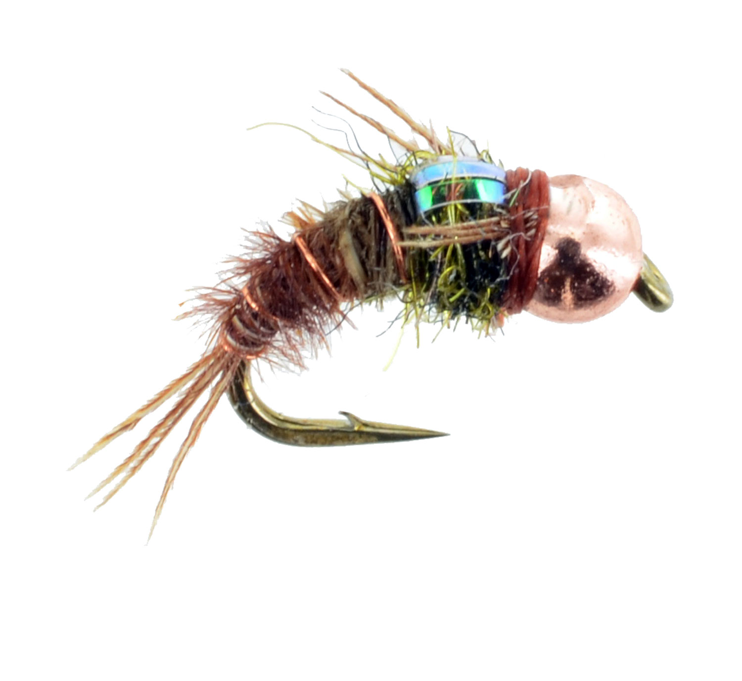 Quasimodo Pheasant Tail