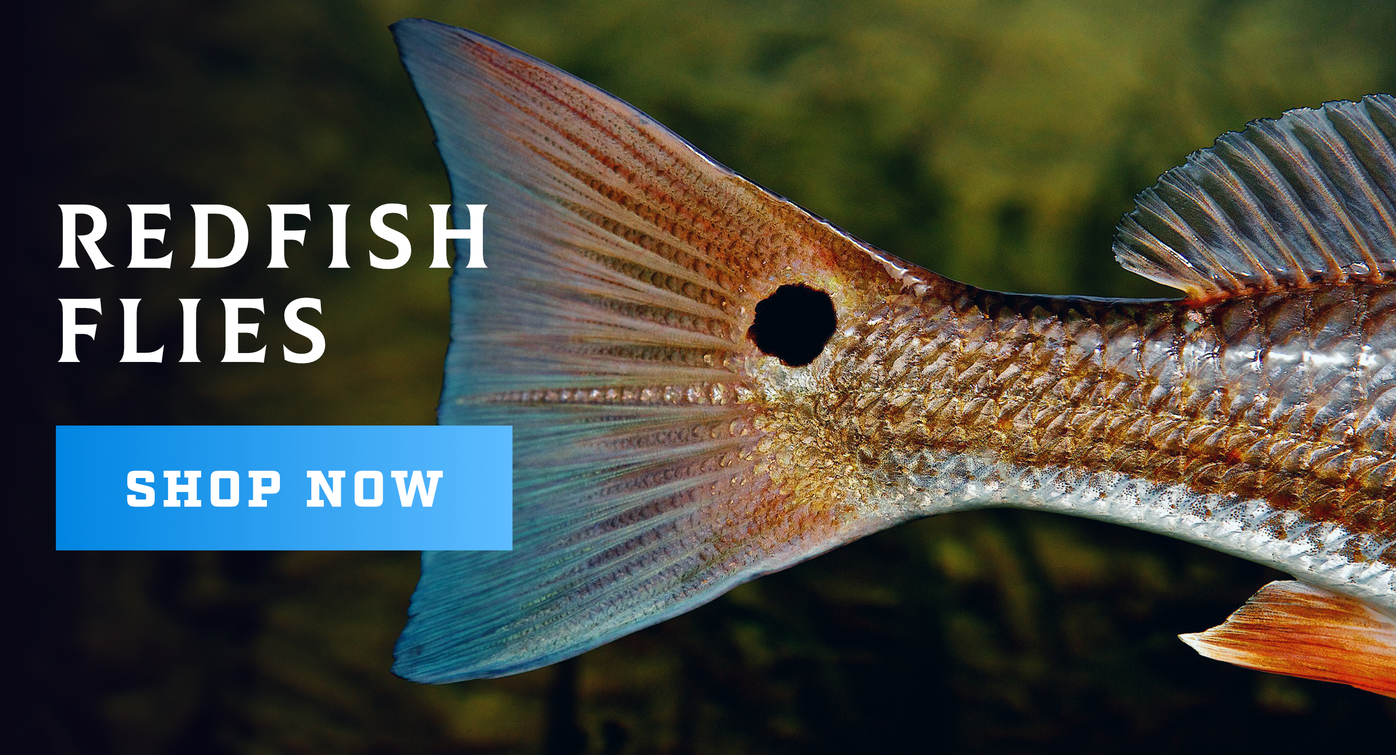 DiscountFlies Online Fly Shop