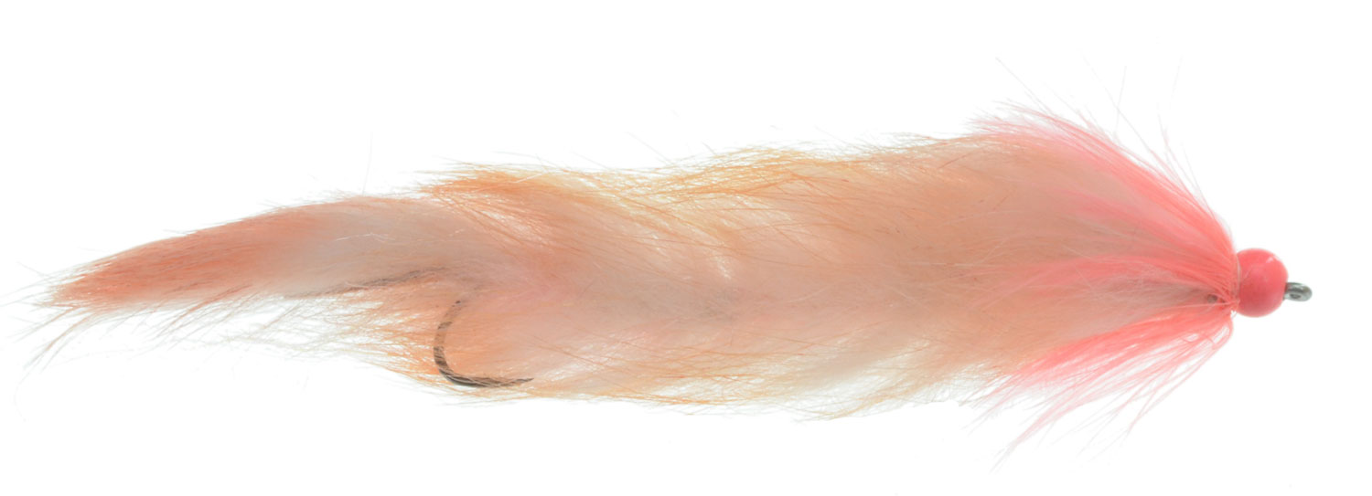 Sleech - Fresh Flesh