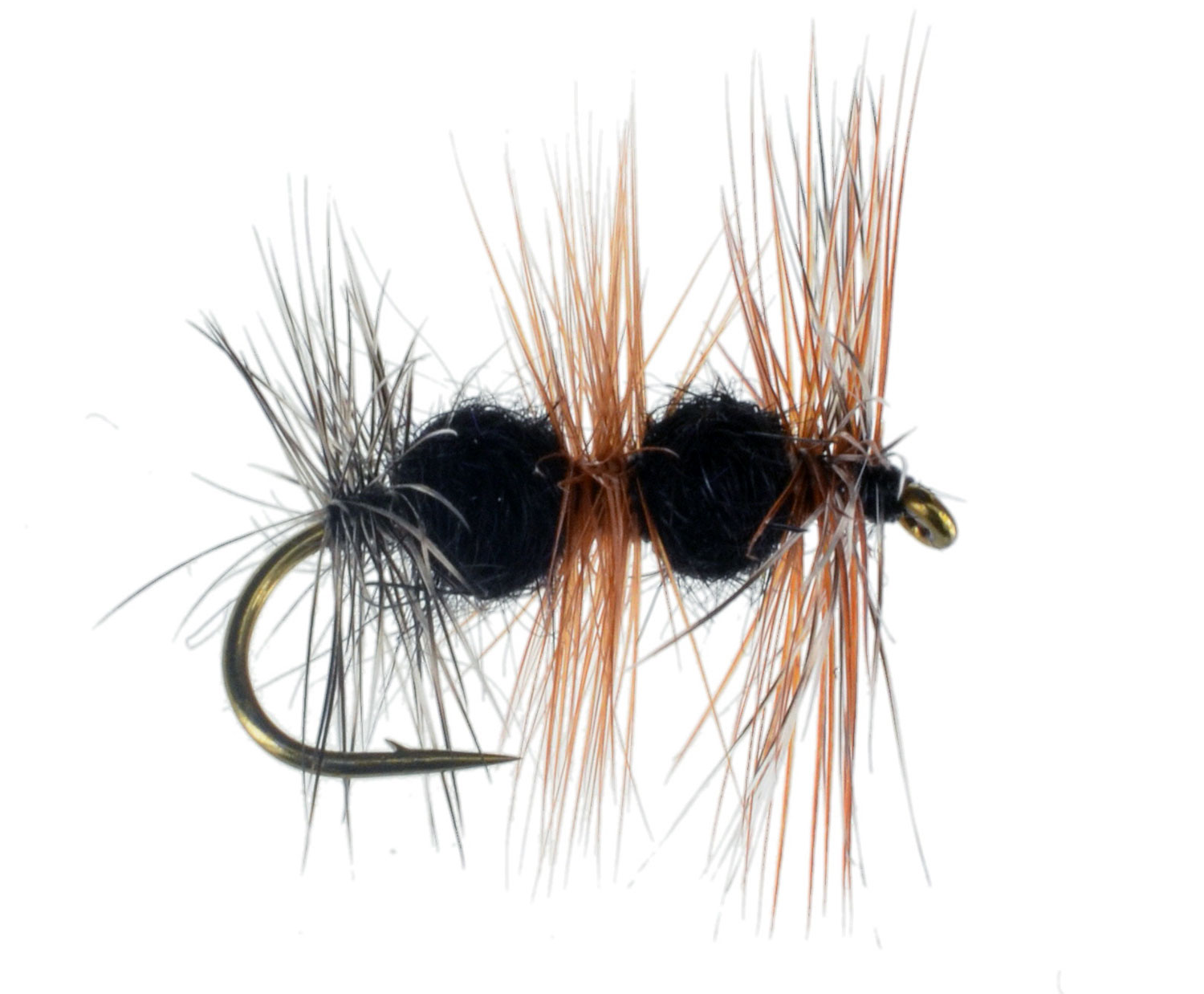 Triple Double - Black