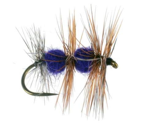 Triple Double - Purple