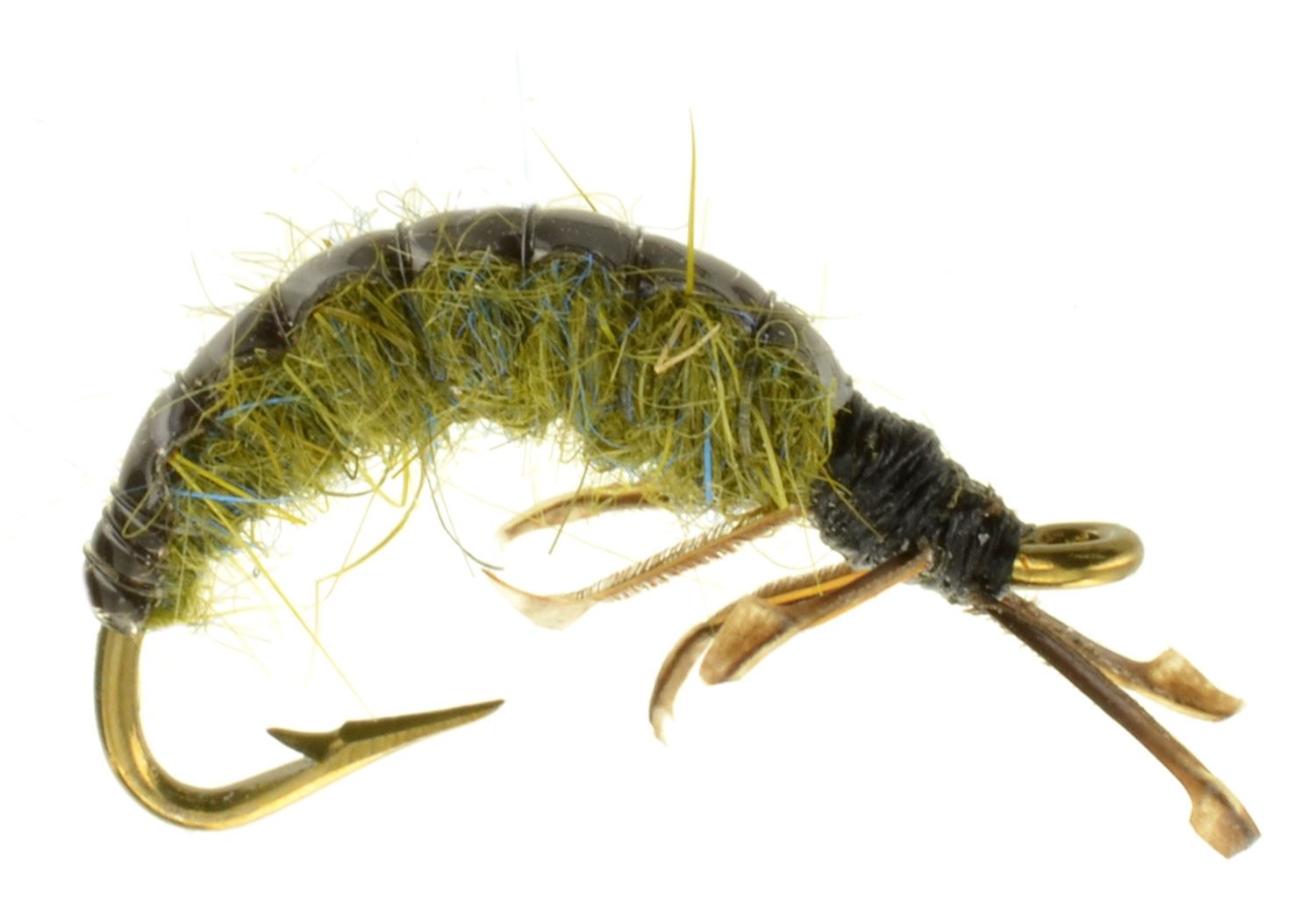 Crawling Caddis