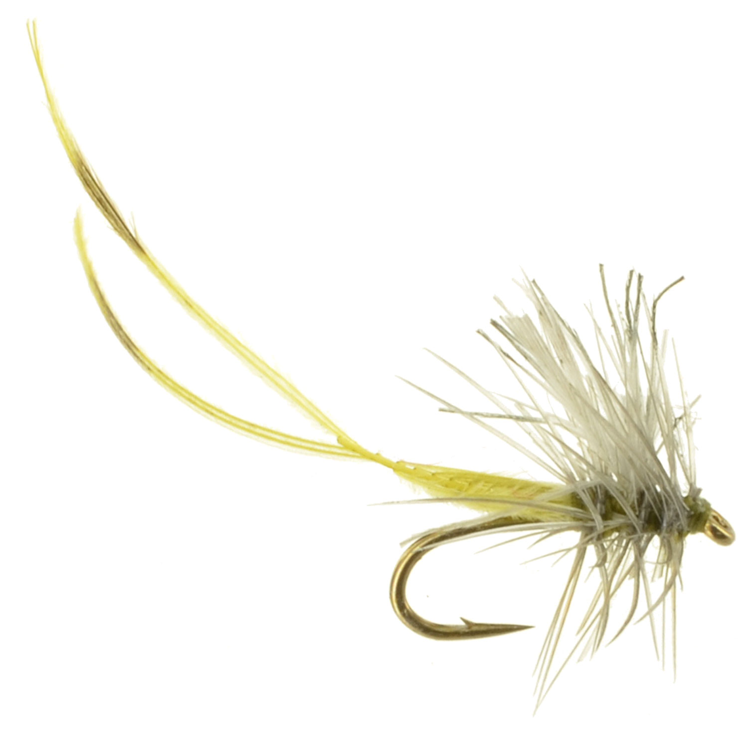 Blue-winged Olive - Hatchmaster