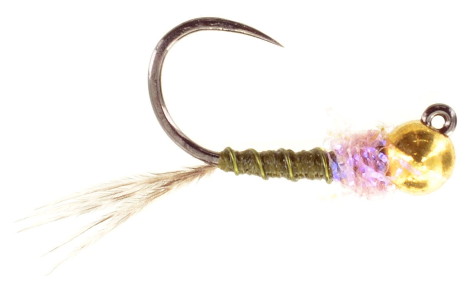 Jiggy Thread Frenchie TB