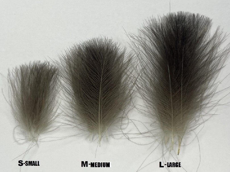 Polish Quills Quill & Fly Select CDC | Fly Fishing Flies For Less ...