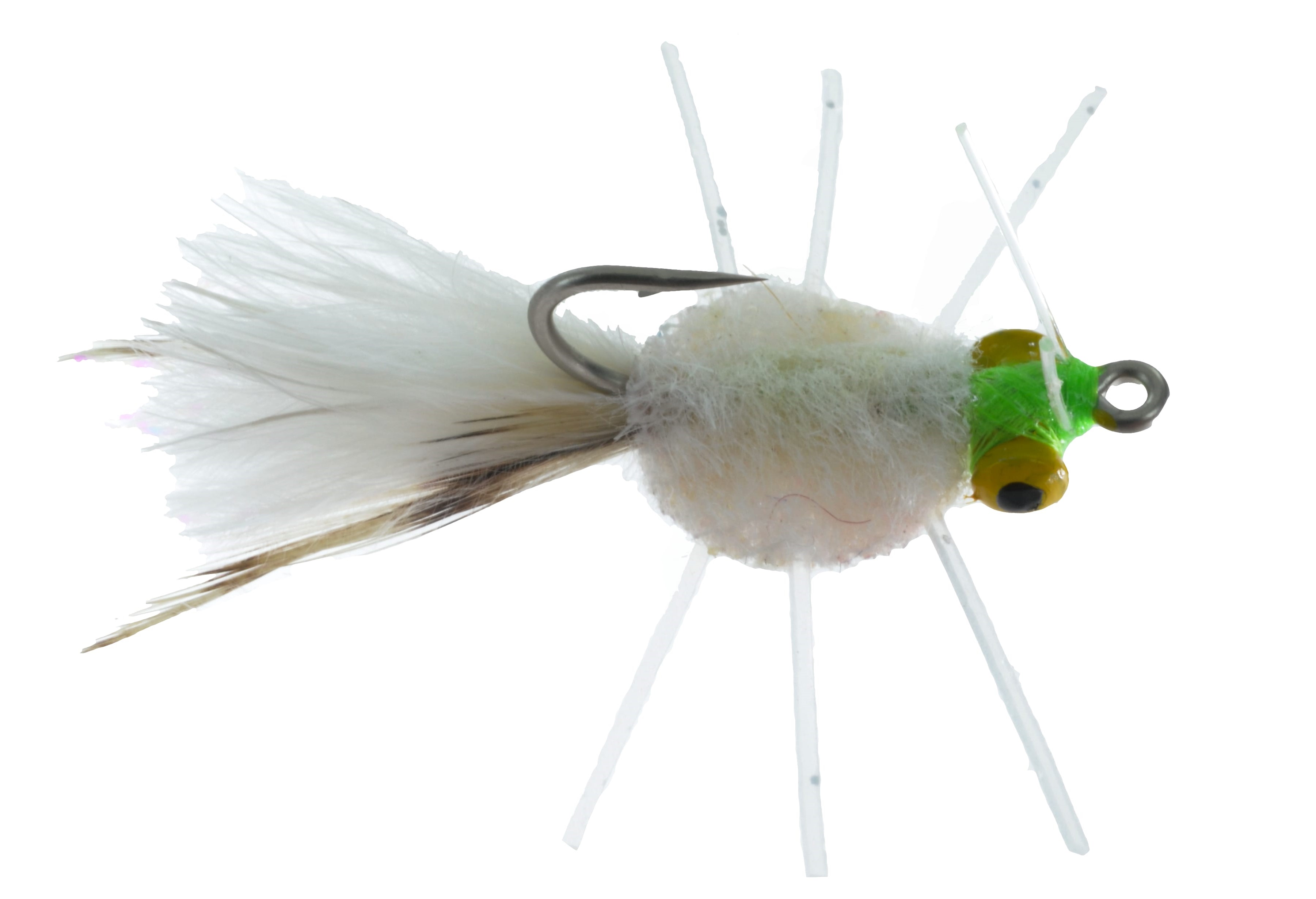 Raghead Crab - White with Yellow Eyes