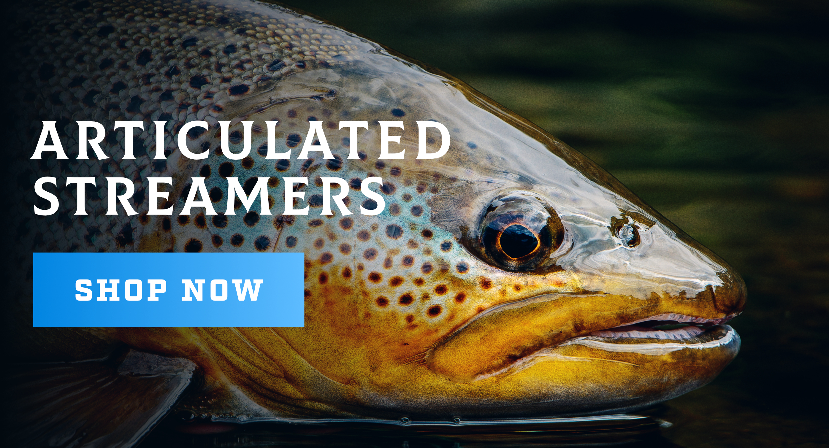 DiscountFlies Online Fly Shop