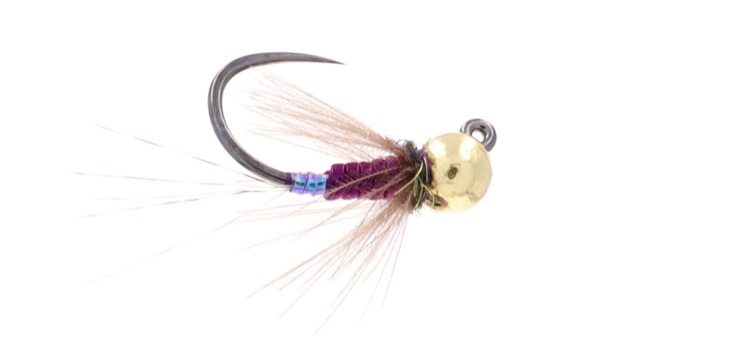 Jiggy CDC France Fly Purple