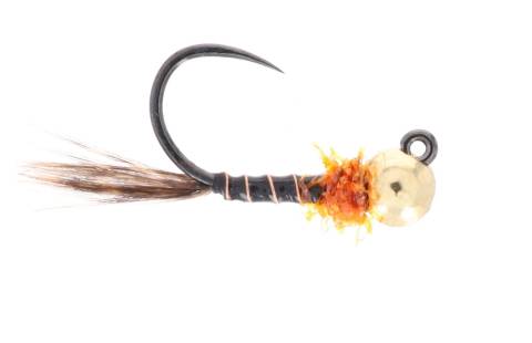 Jiggy Thread Frenchie - Black