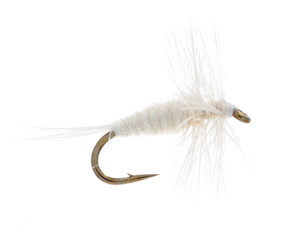 Midge - Cream