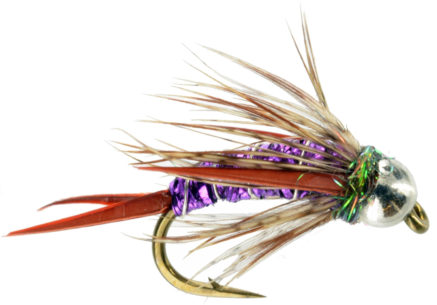 Bjorn's Purple Pretty