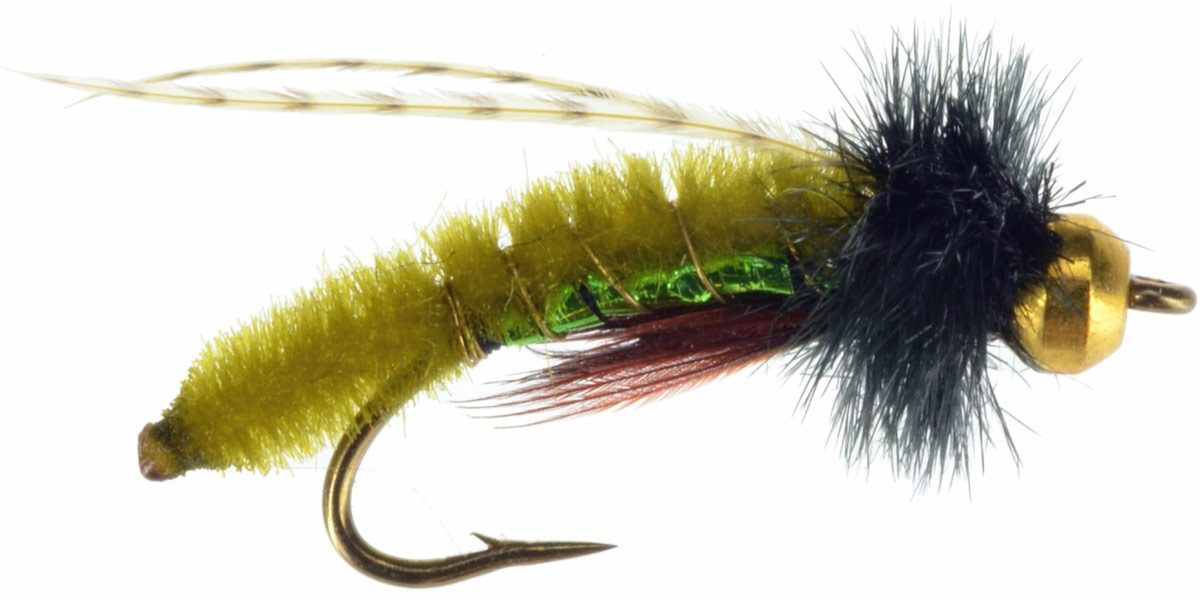 Caddis Poopah Olive Beadhead