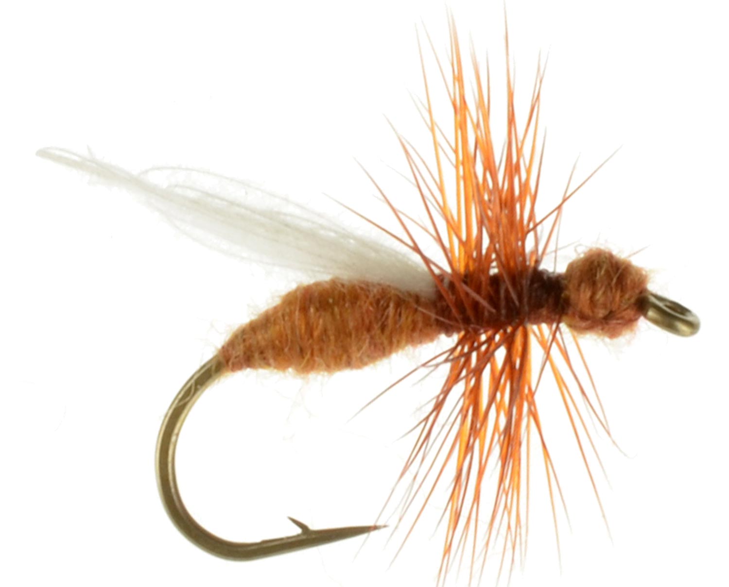 Terrestrials : Top Fly Fishing Flies & Gear at Wholesale Prices ...
