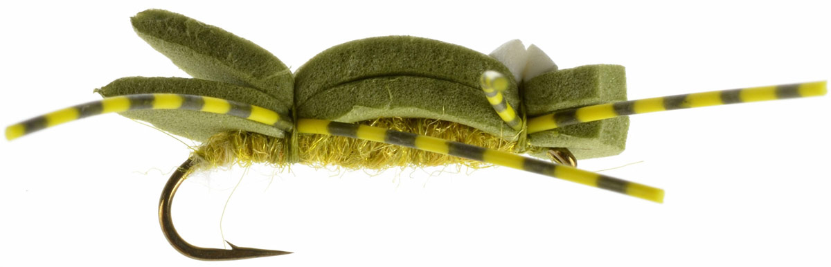 Chernobyl Ant - Olive