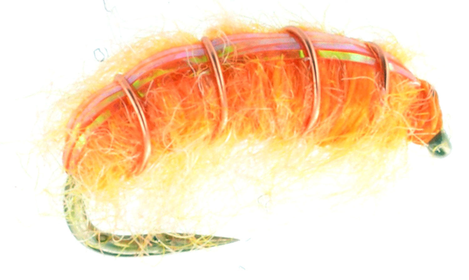 Crystal Back Scud - Orange