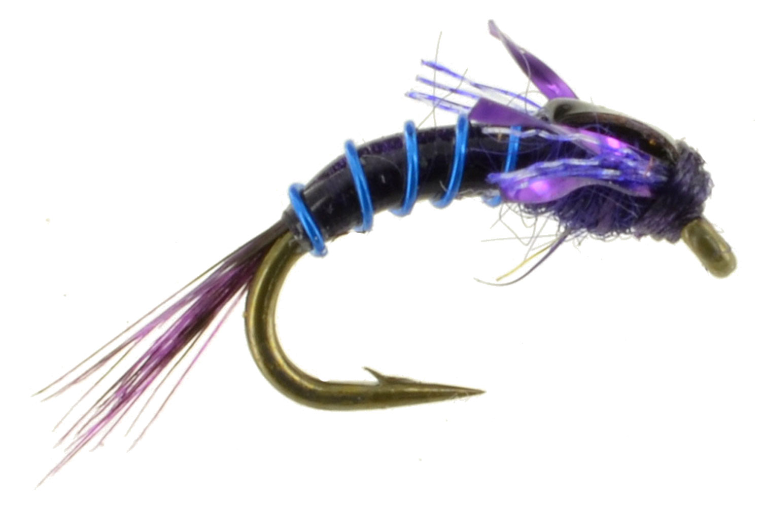 Darth Baetis - Purple