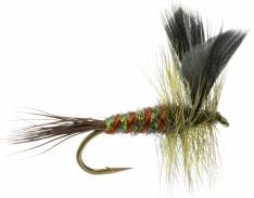 Isonychia Dry Fly Mayfly | Fly Fishing Flies For Less | DiscountFlies