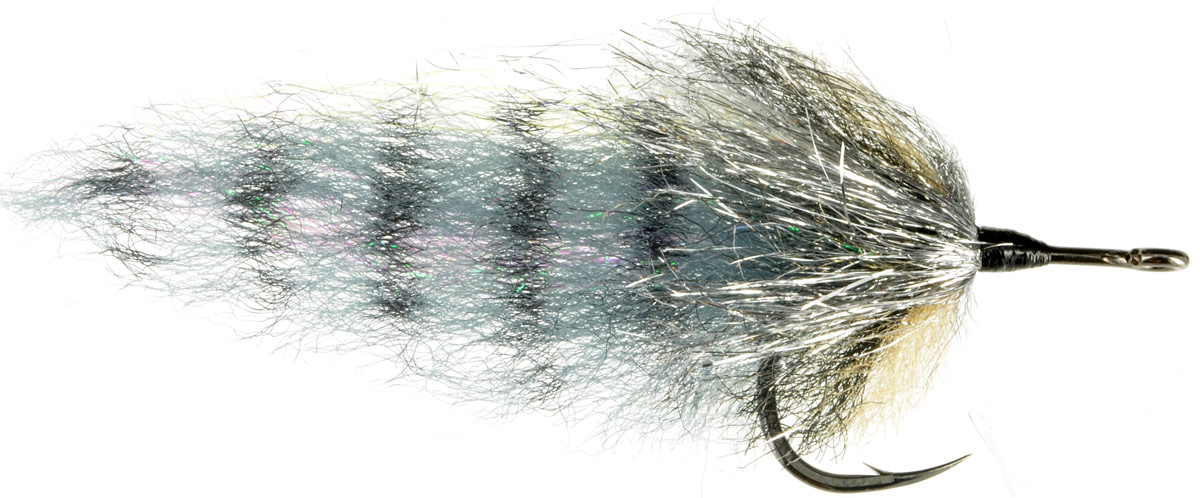 Tarpon Rat
