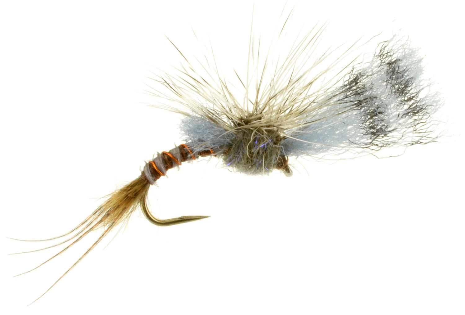 Film Critic - Grey Drake