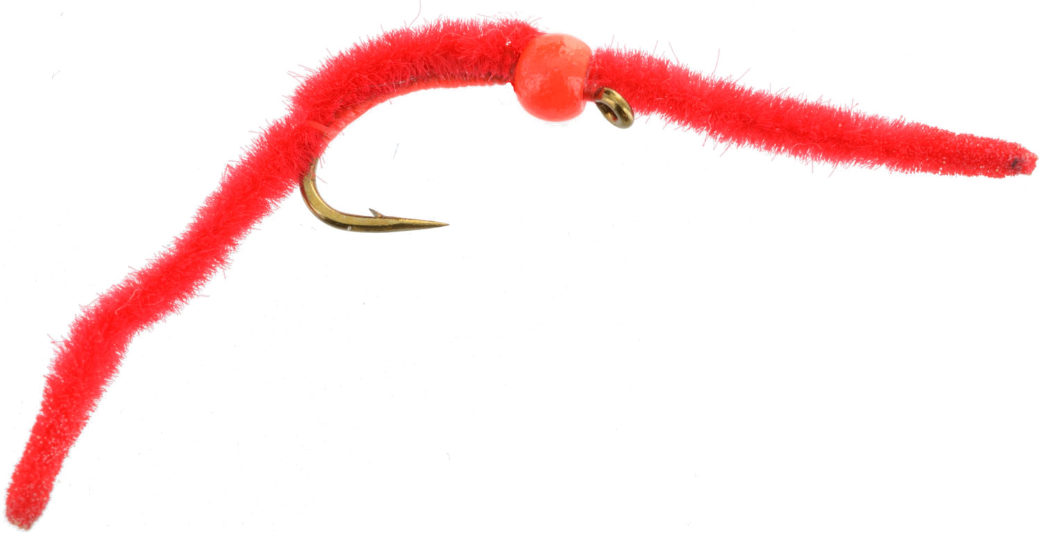 Firebead Worm - Red