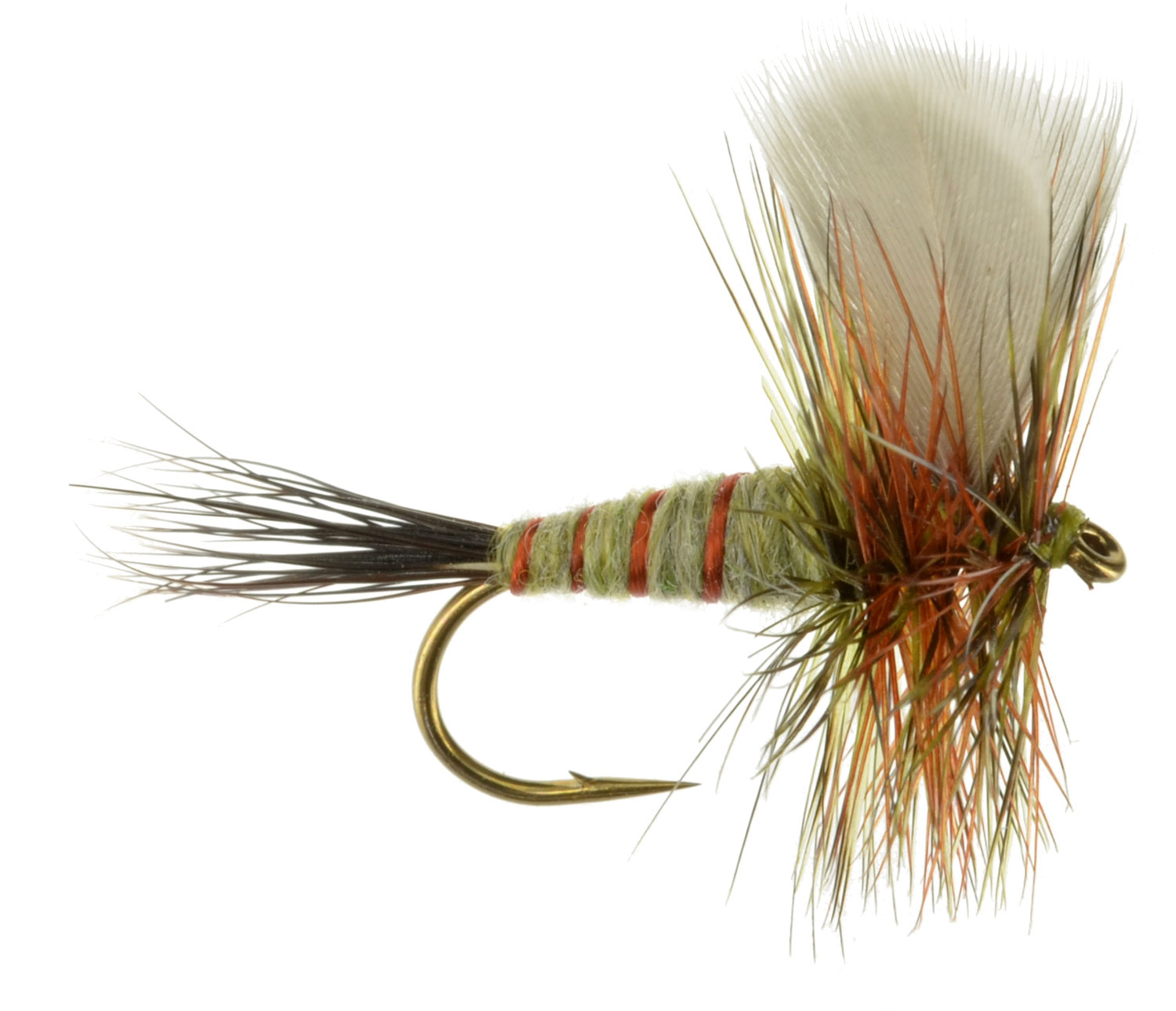 Green Drake Fanwing
