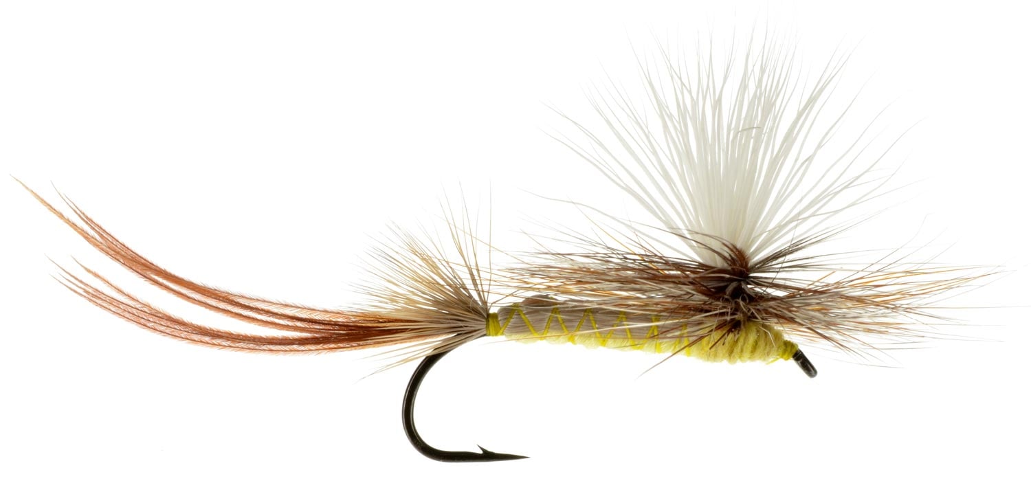 Hexagenia Dry Fly : Top Fly Fishing Flies & Gear at Wholesale Prices ...