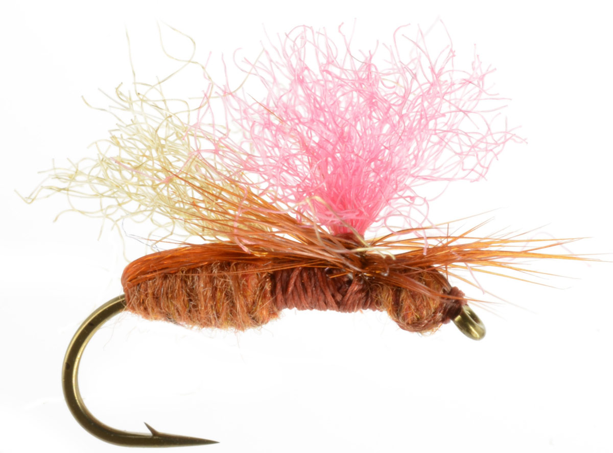 Hi-Viz Flying Ant - Cinnamon