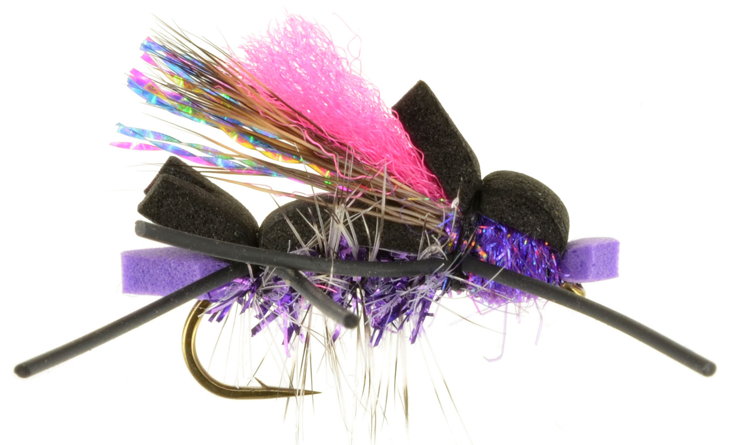 Hi-Viz Amy's Ant - Purple