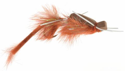 Nervous Neda - Brown