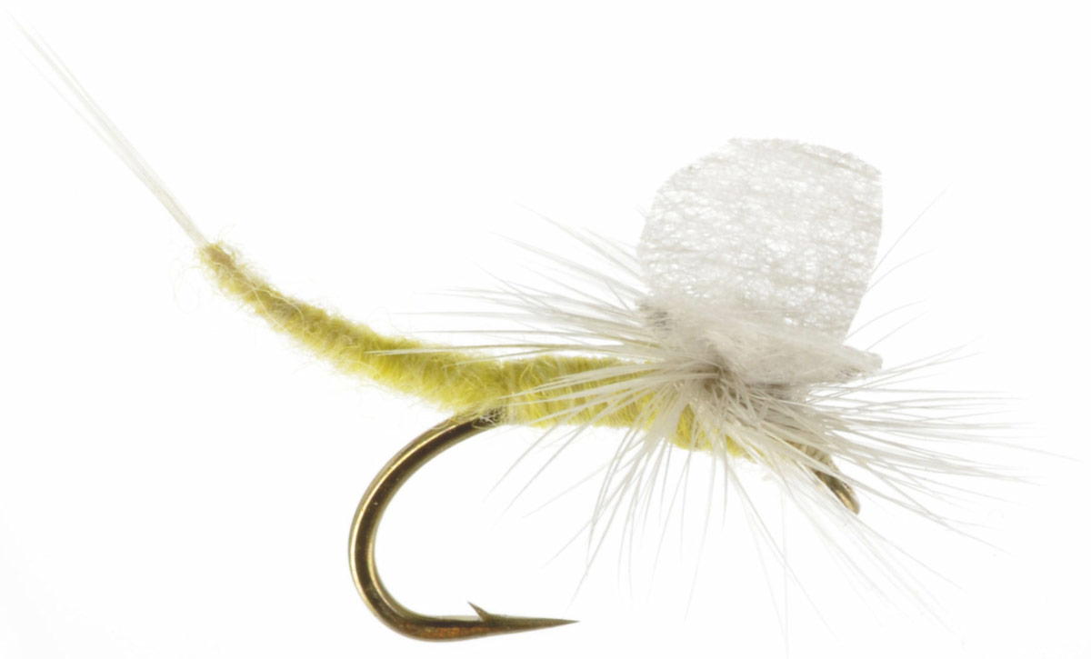 Pale Morning Dun - Extended Body