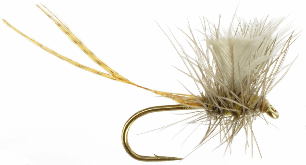 Pale Morning Dun - Hatchmaster