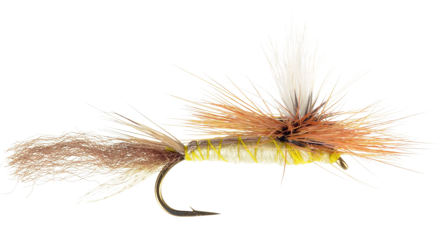 Parachute Brown Drake