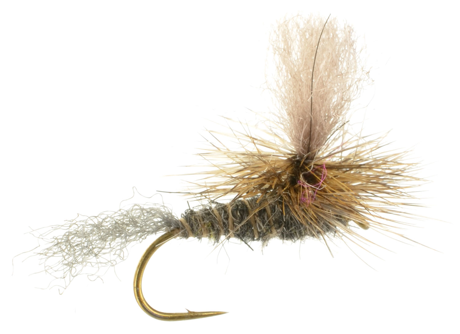 Parachute Grey Drake