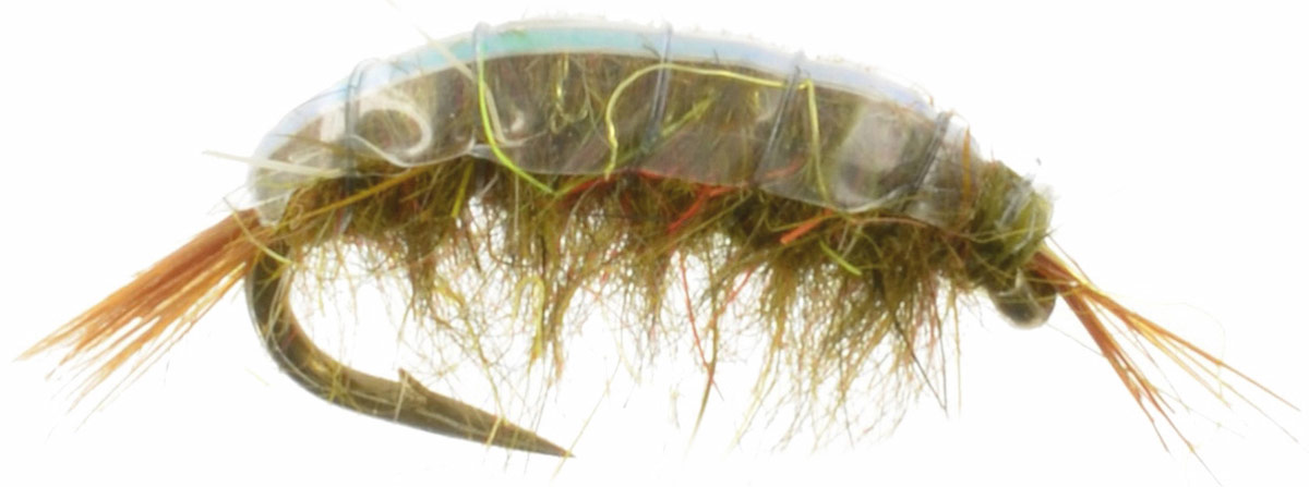 Scud Brown-Olive
