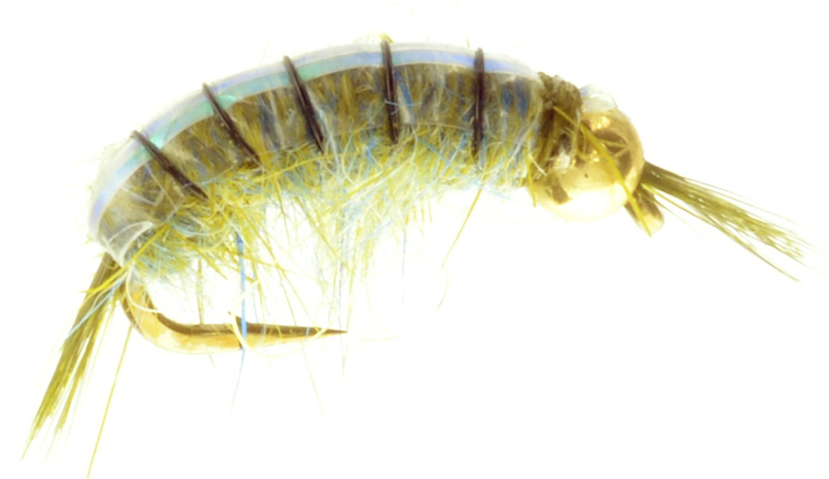 Scud - Grey/Olive Beadhead