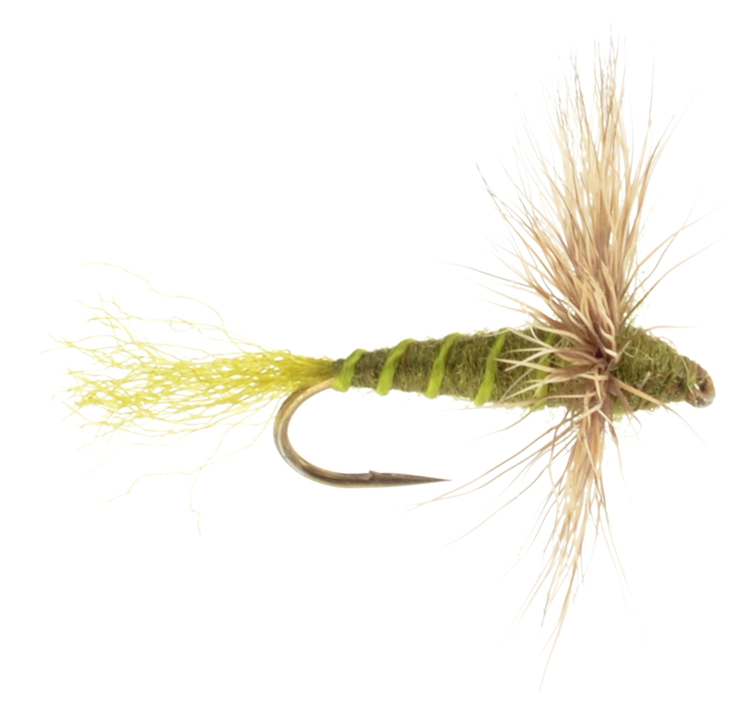 Sparkle Dun - Green Drake