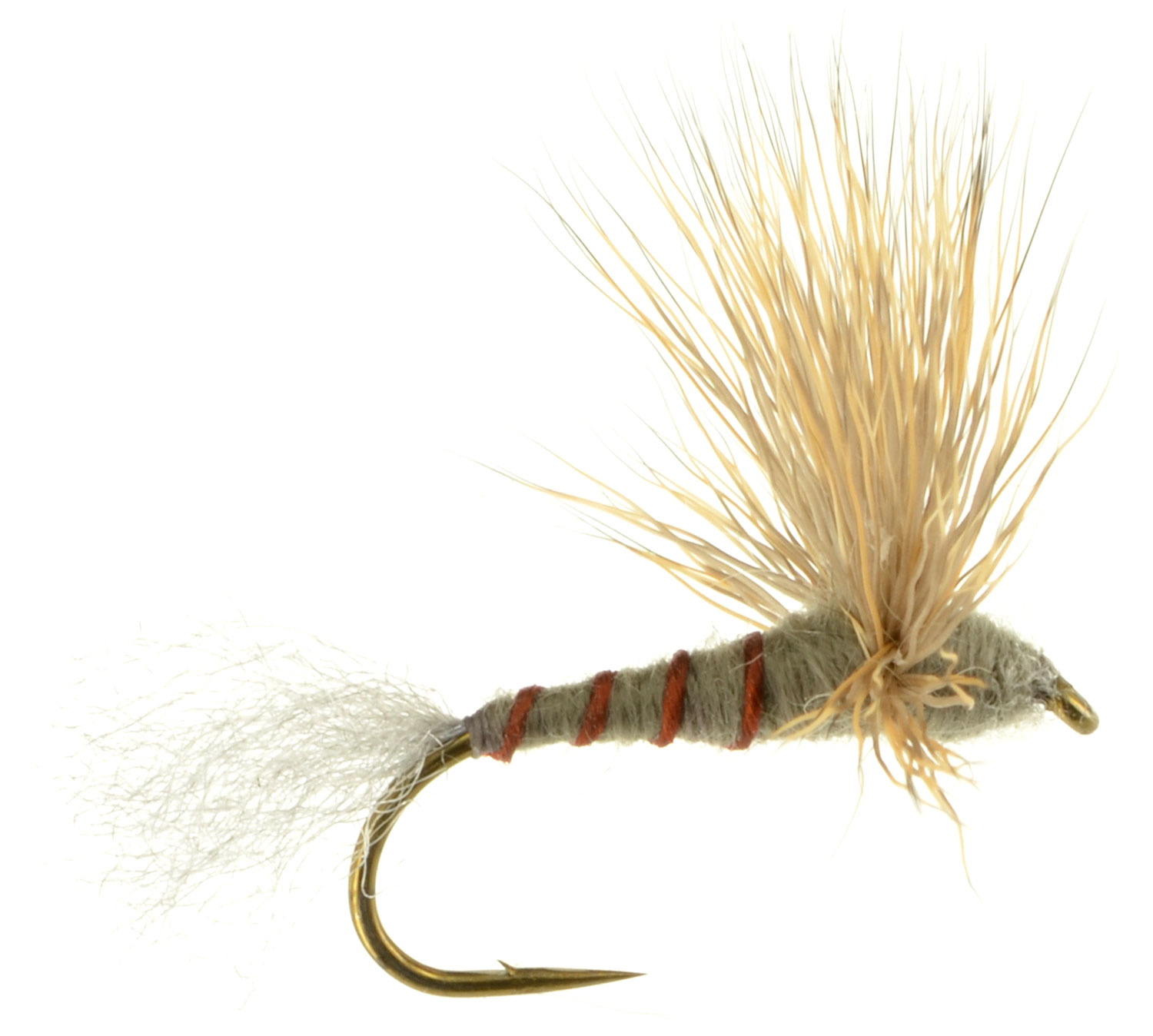Isonychia Dry Fly Mayfly : Top Fly Fishing Flies & Gear at Wholesale ...
