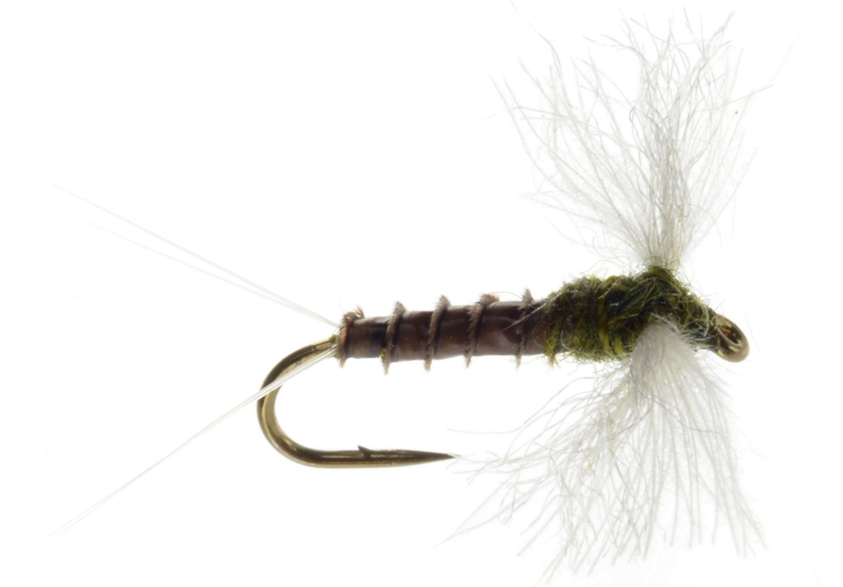 Spinner - BWO CDC Biot