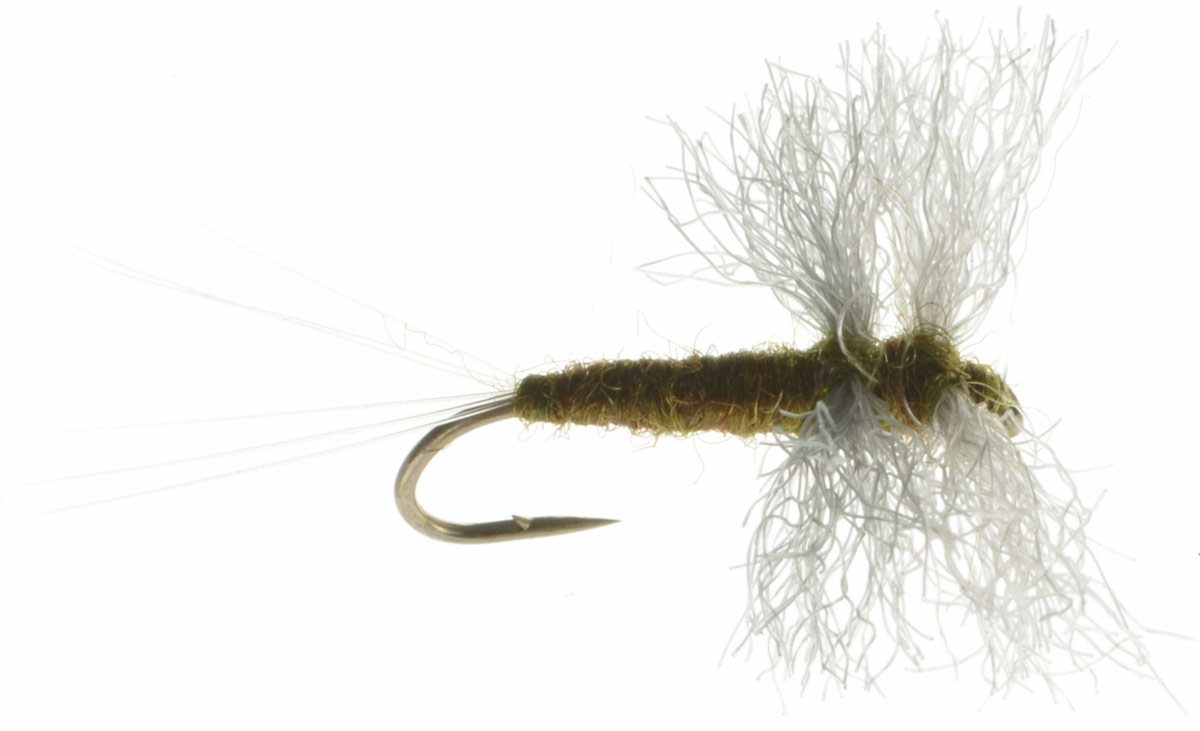 Spinner - Double Wing Olive | Fly Fishing Flies For Less | DiscountFlies