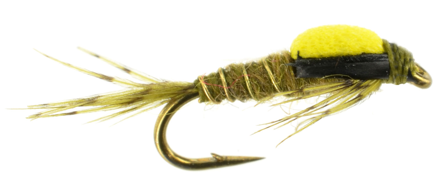 Split Back Blue-winged Olive