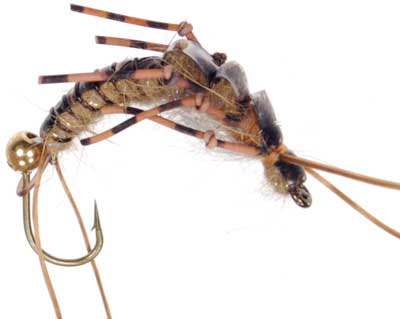 Stonefly Patterns